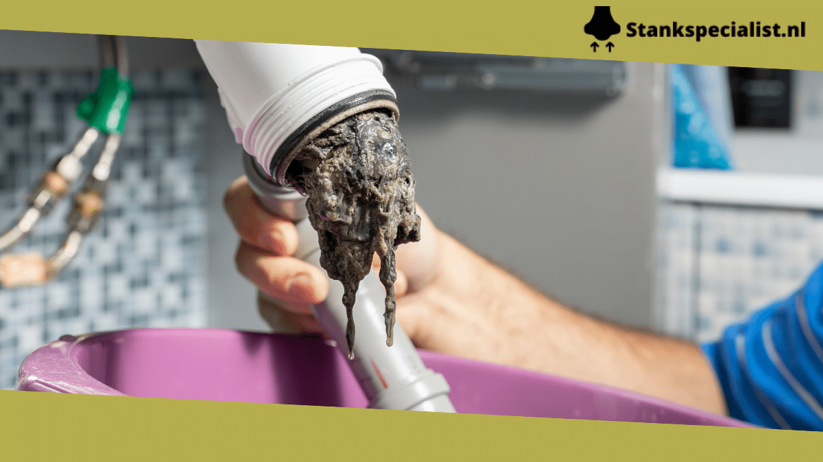 Stinkend riool: de oorzaak en de oplossing van rioollucht in huis ...
